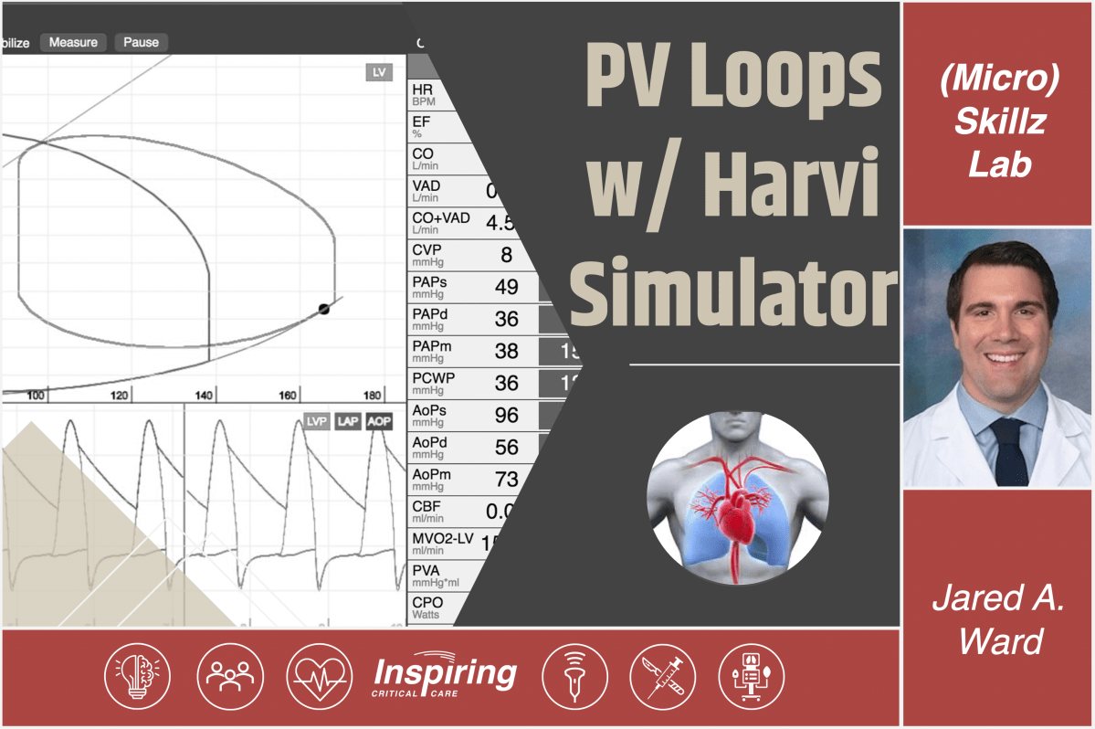 Pressure Volume Loops with Harvi Simulator – Ward – Inspiring Critical Care
