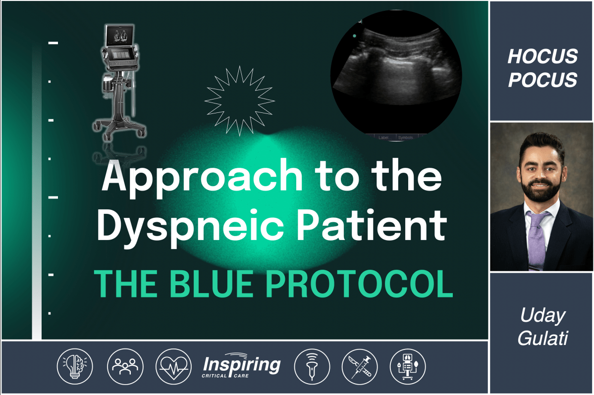 Pocus Approach To Acute Dyspnea And The Blue Protocol Gulati Inspiring Critical Care